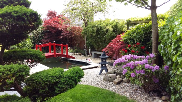Japanse tuin ontwerpen en aanleggen – John Koomen Tuinen