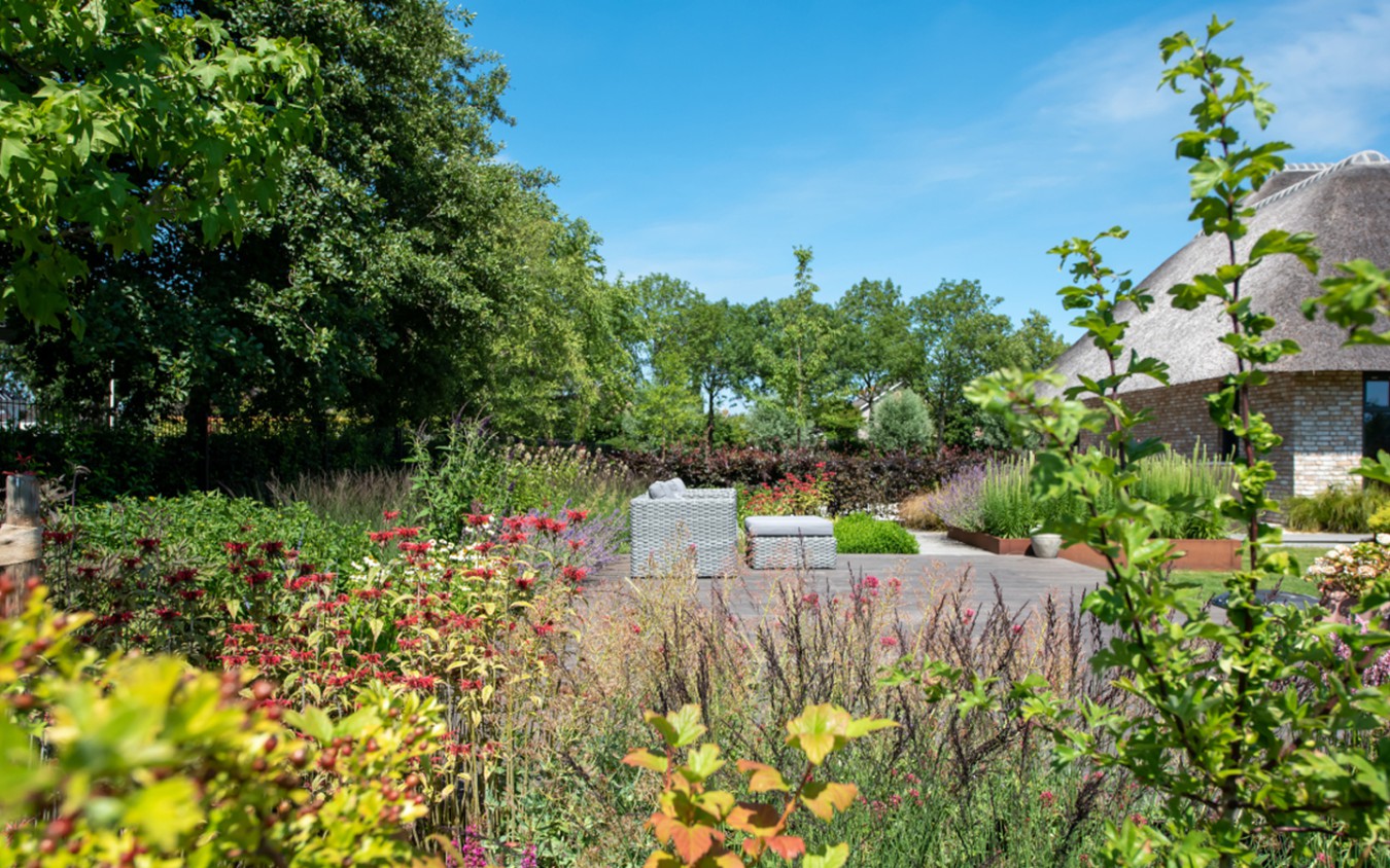 Levendige tuin - John Koomen