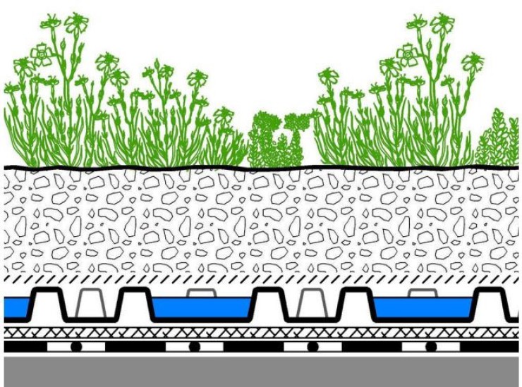 Daktuinen en geveltuinen aanleggen – John Koomen